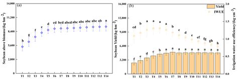 Soybean Yield Simulation And Sustainability Assessment Based On The Dssat Cropgro Soybean Model