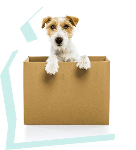 Free Online Course On Server Side Tagging Stape Academy