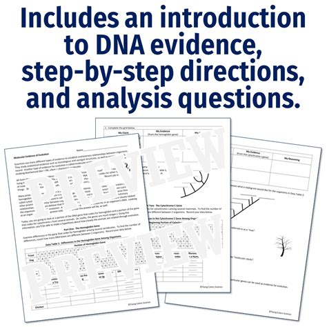 Molecular Dna Evidence Of Evolution Activity Flying Colors Science