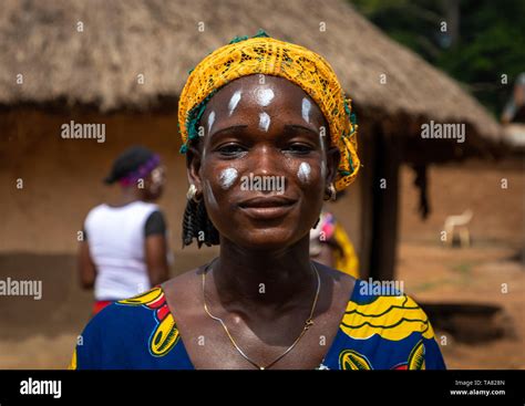 The Dan Tribe Africa