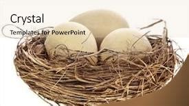Best Egg Themed Templates For PowerPoint Google Slides