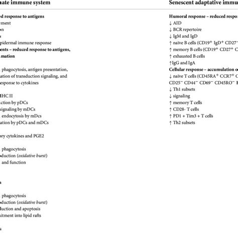 Summary Of Effects Of Aging On Innate And Adaptative Immune Systems Download Scientific Diagram