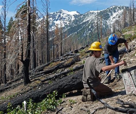 Our Achievements — Sugar Pine Foundation