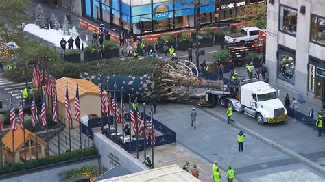 Rockefeller Center Christmas Tree Arrives In New York City Nbc10 Philadelphia