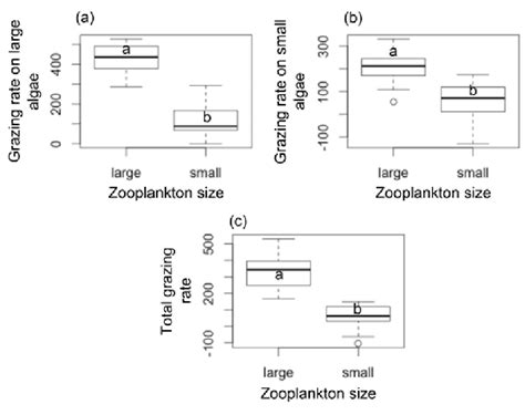 Box Plots Depicting Algae Consumption By Small And Large Download