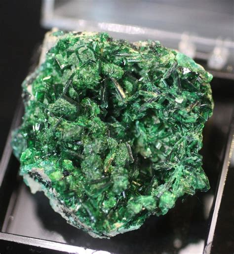 Great Green Torbernite Crystals Musonoi Mine Katanga Congo 75 000