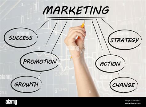 Woman Drawing Marketing Scheme On Light Background With Charts Closeup