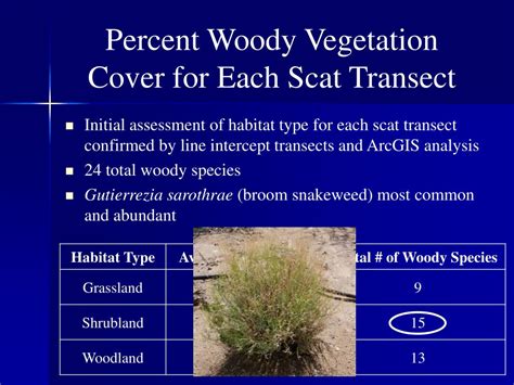Ppt Determining The Density Of Coyotes In Different Habitat Types At