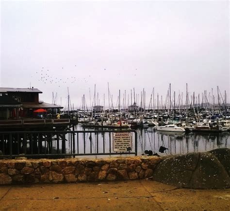 The 10 Best Campgrounds Near Monterey Ca