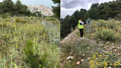 Rrethohet Me Rrjetë Teli Kurora E Gjelbër E Sarandës Reagon Policia Bashkiake Saranda Web