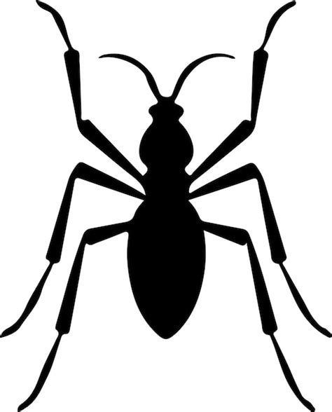 Premium Vector Assassinbug Silhouette Premium Vector Assassinbug Silhouette