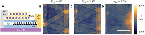 Demonstration Of Top Gating Effect In Bilayer Graphene Domain Walls Download Scientific