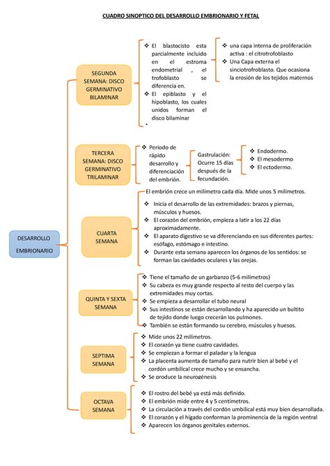 Cuadro Sinoptico Del Desarrollo Humano Integral Ppt P