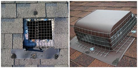 Squirrel Prevention Starts With Going Above The Surface