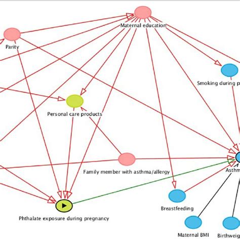 Directed Acyclic Graph Dag For Evaluation Of Covariates In The Download Scientific Diagram