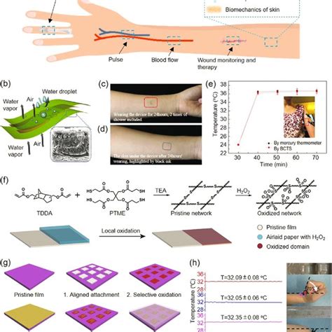 Flexible Electrochemical Sensors For Non Invasive Sweat Analysis A Download Scientific Diagram