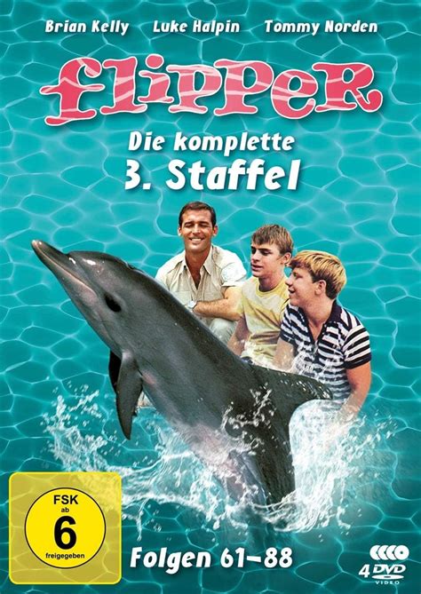 Flipper Die Komplette 3 Staffel 4 Dvds Uk Brian Kelly