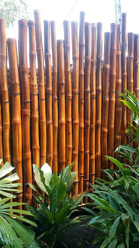 Bamboo Garden Fence Diy At Kenton Williams Blog