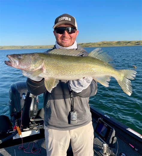 Lake Oahe Profile