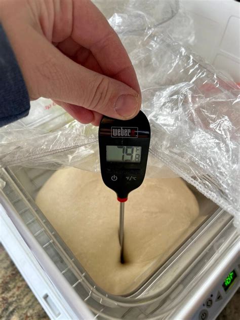 Bulk Fermentation In Sourdough Artisan Bread Amy Bakes Bread