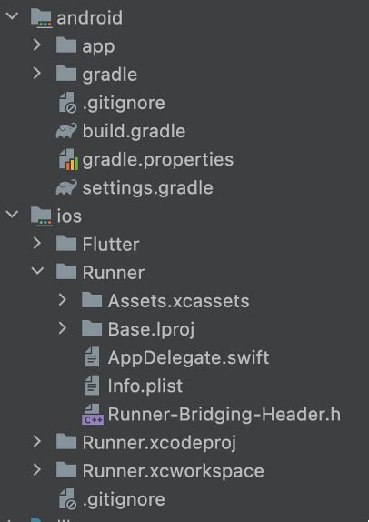 Native Code In Flutter