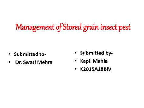 Management Of Stored Grain Insect Pest Pptx Beekeeping Hobbies