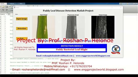Paddy Leaf Disease Detection Using Image Processing With Source Code Matlab Project Paddy