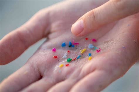 Experts Reveal How To Actually Limit Your Exposure To Microplastics