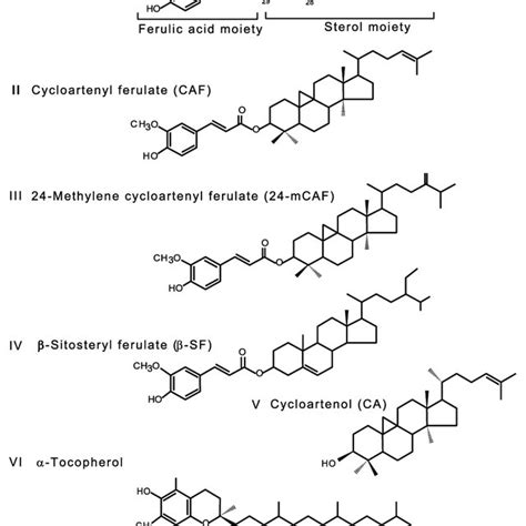 Structural Nomenclature Of Phytosteryl Ferulate Showing Ferulic Acid Download Scientific