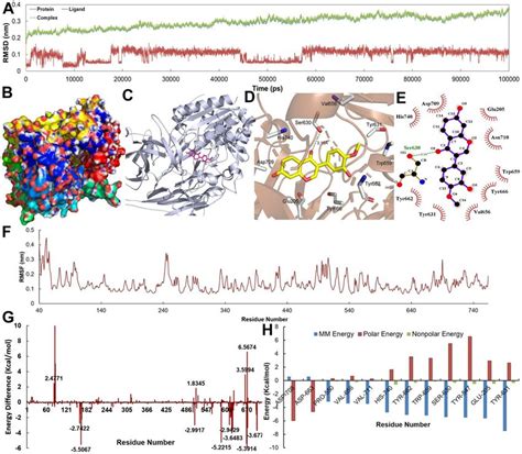 A The Rmsd For Dpp4 With Calycosin Over 10 Ns B E The Binding Mode