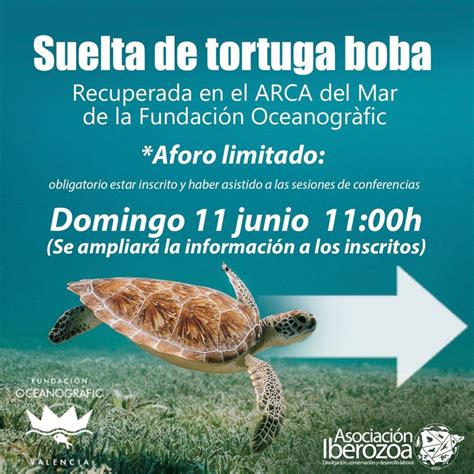 Ii Simposio De Biología Marina 2023 Iberozoa