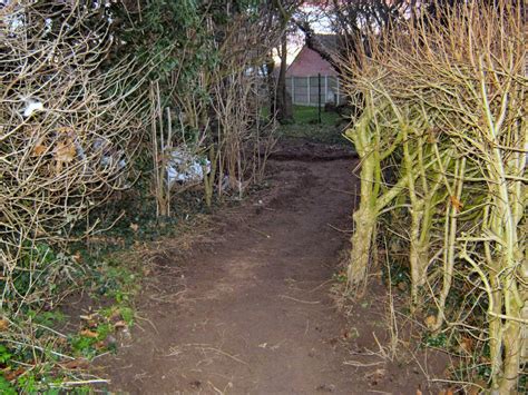 Martham Primary School Martham Primary Garden Project