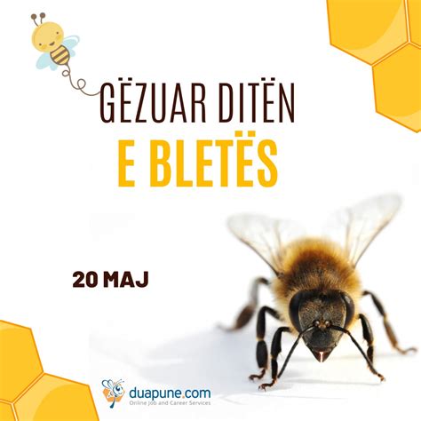 Dita Boterore E Bletes