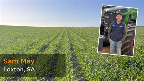 Paddock Perspective Sam May Loxton Sa Building A More Profitable