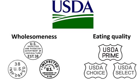 Usda Meat Processing Inspection At Jack Waller Blog