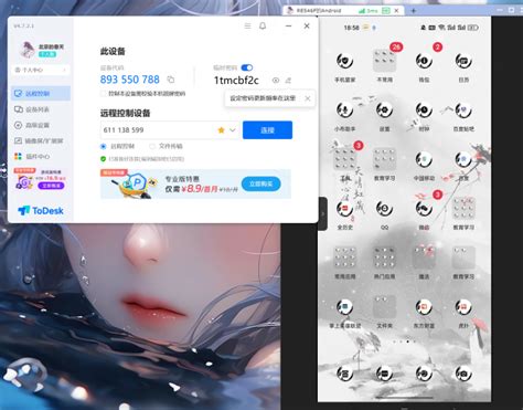 Todesk远程软件的原理 Todesk需要远程密码吗 Todesk中文网站