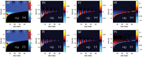 Single Electron Picture Of The Charge And Spin Dynamics In A Chiral Download Scientific Diagram