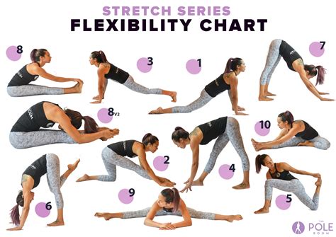 What Are Some Examples Of Flexibility Exercises Cardio Workout Routine
