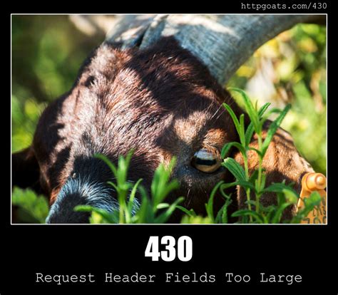 430 Request Header Fields Too Large Status Code And Goats