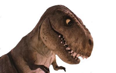 Tina Rex By Dracoawesomeness On Deviantart