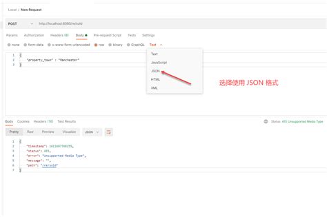 spring 发送 json 数据到 api 的时候提示 unsupported media type 错误 开发工具分享