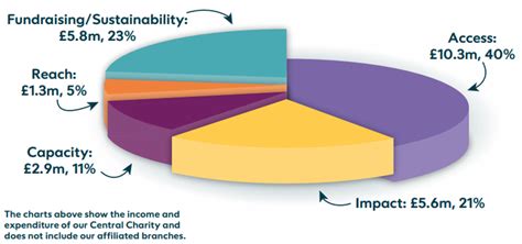 Our Income And Expenditure Samaritans
