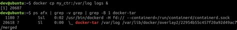Docker Patched The Most Severe Copy Vulnerability To Date With Cve 2019 14271