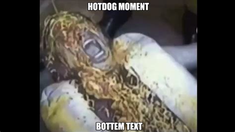 Siege Tourney Bracket Bracketfights