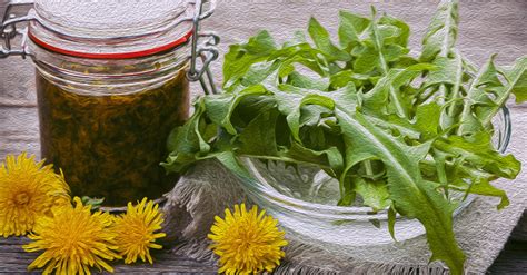 15 Surprising Health Benefits Of Dandelion Herb