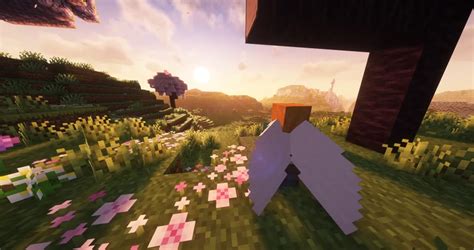 Oaks Custom Elytra Minecraft Texture Pack