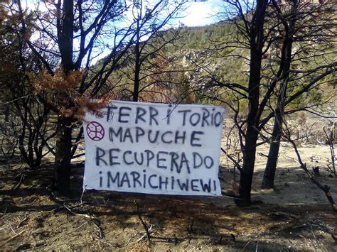 Indigenismo Y Conflicto Mapuche Las Graves Consecuencias De Un Error