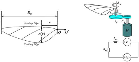 Hifly Dragon A Dragonfly Inspired Flapping Flying Robot With Modified