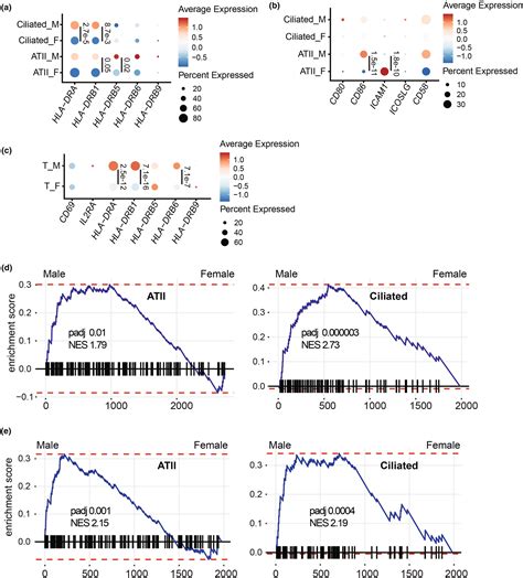 Sex And Disease Regulate Major Histocompatibility Complex Class I