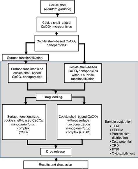 Flowchart Of The Experimental Procedures Abbreviations Tem
